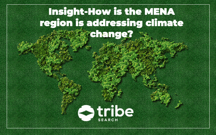 How is the MENA region addressing climate change? - Tribe Search